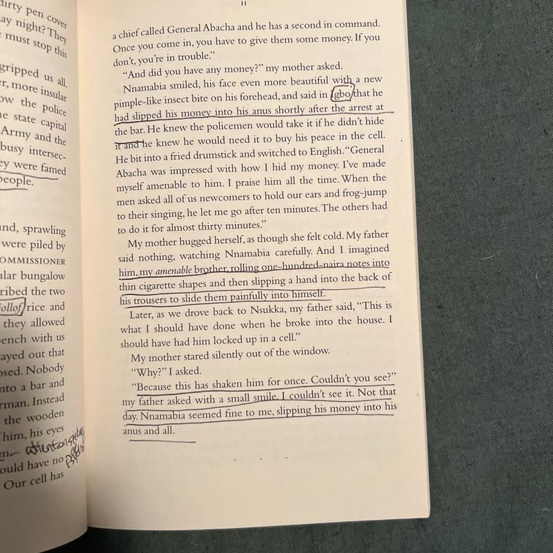 The Thing Around Your Neck by Chimamanda Ngozi Adichie, Paperback ...