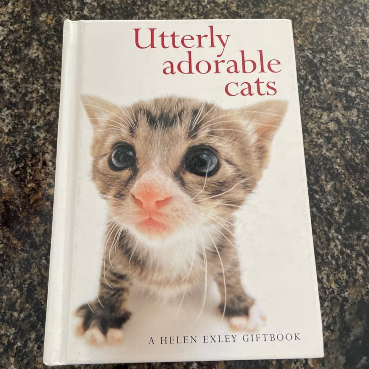 Utterly Adorable Cats by Exley