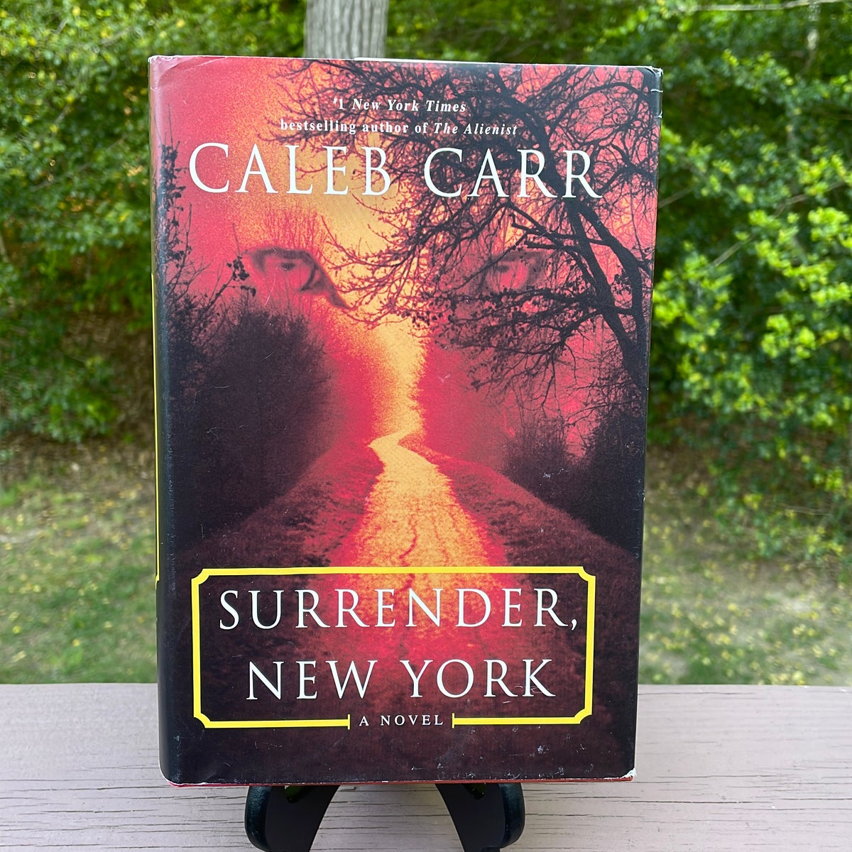 Surrender, New York by Caleb Carr