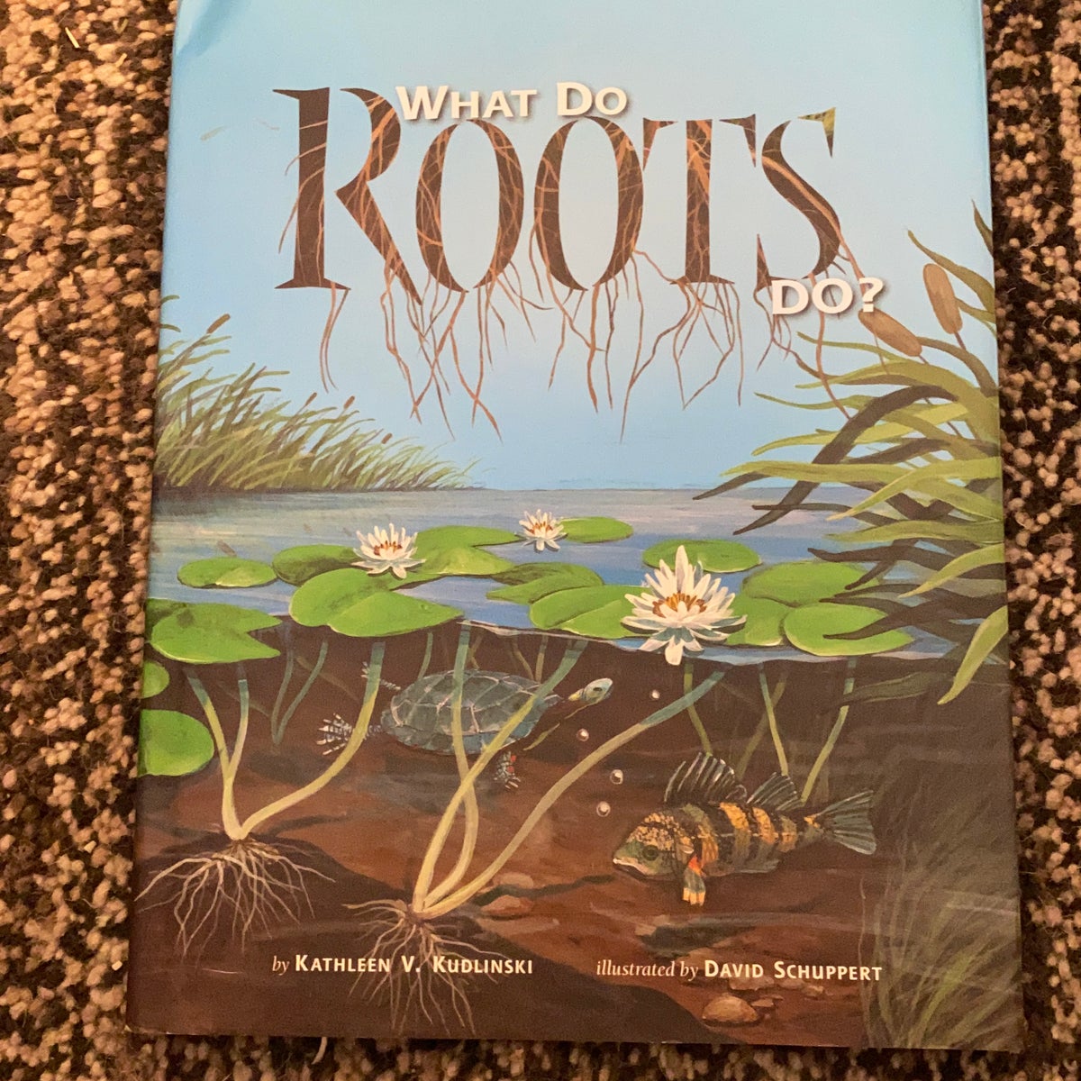 What Do Roots Do? by Kathleen V. Kudlinski