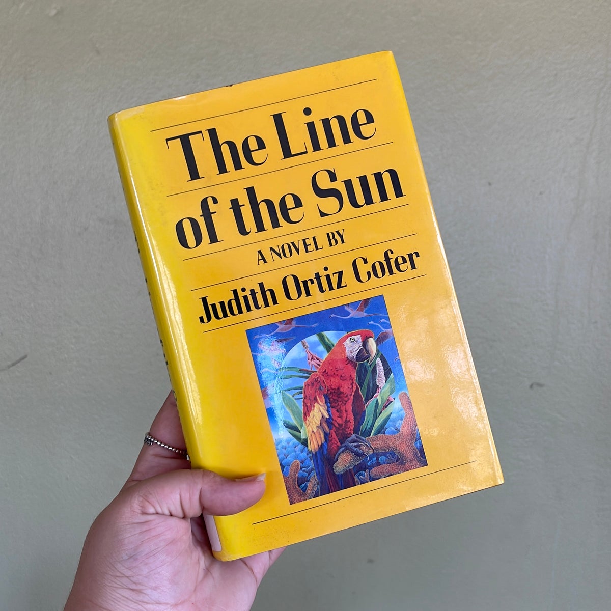 The Line of the Sun by Judith Ortiz Cofer