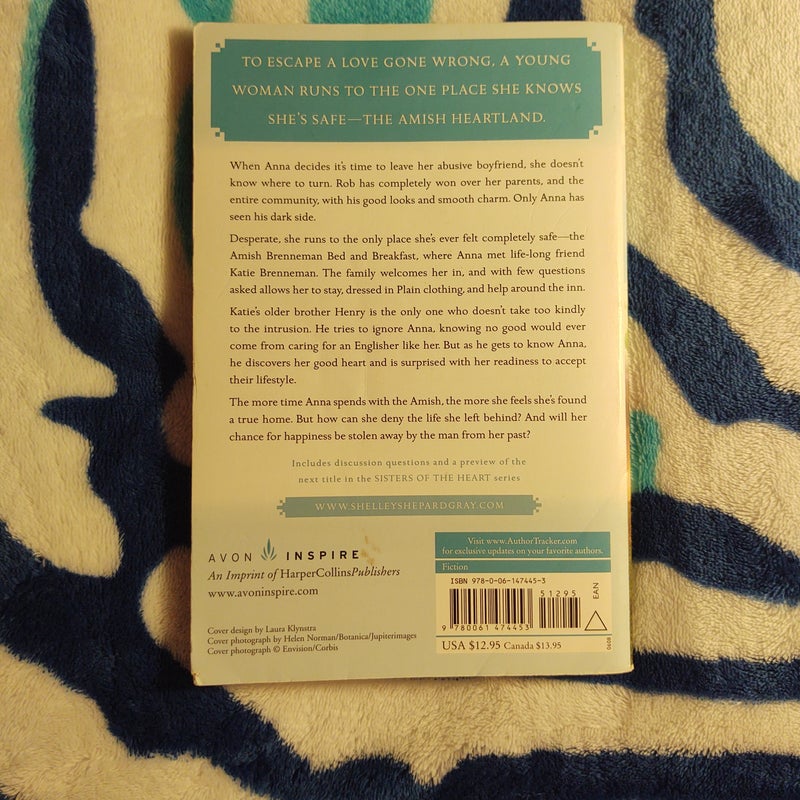 Hidden (Sisters of the Heart, Book 1) by Shelley Shepard Gray, Paperback | Pangobooks