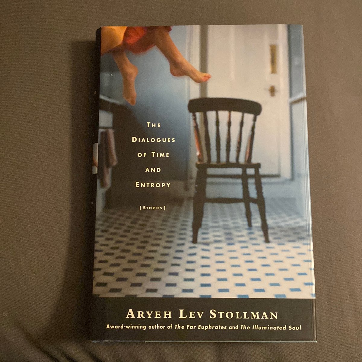 The Dialogues of Time and Entropy by Aryeh Lev Stollman