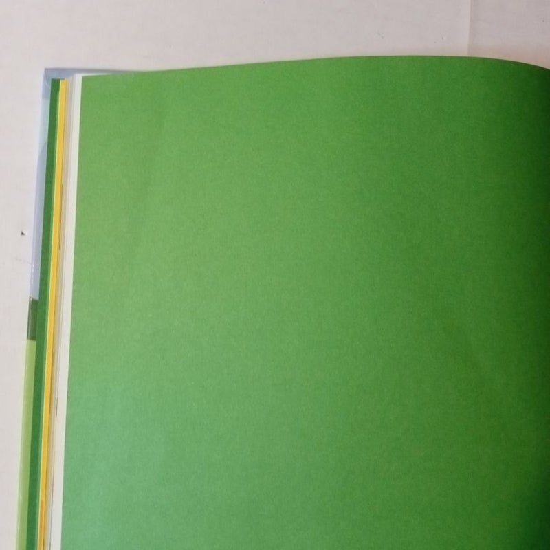 Claude and callie Cat by Cindy Foust, Hardcover | Pangobooks