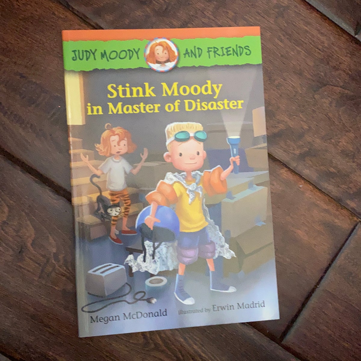 Judy Moody and Friends: Stink Moody in Master of Disaster by Megan McDonald