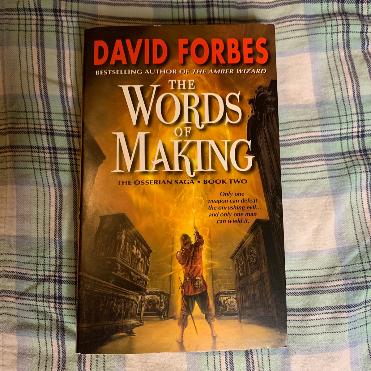 The Words of Making by David Forbes, Paperback | Pangobooks