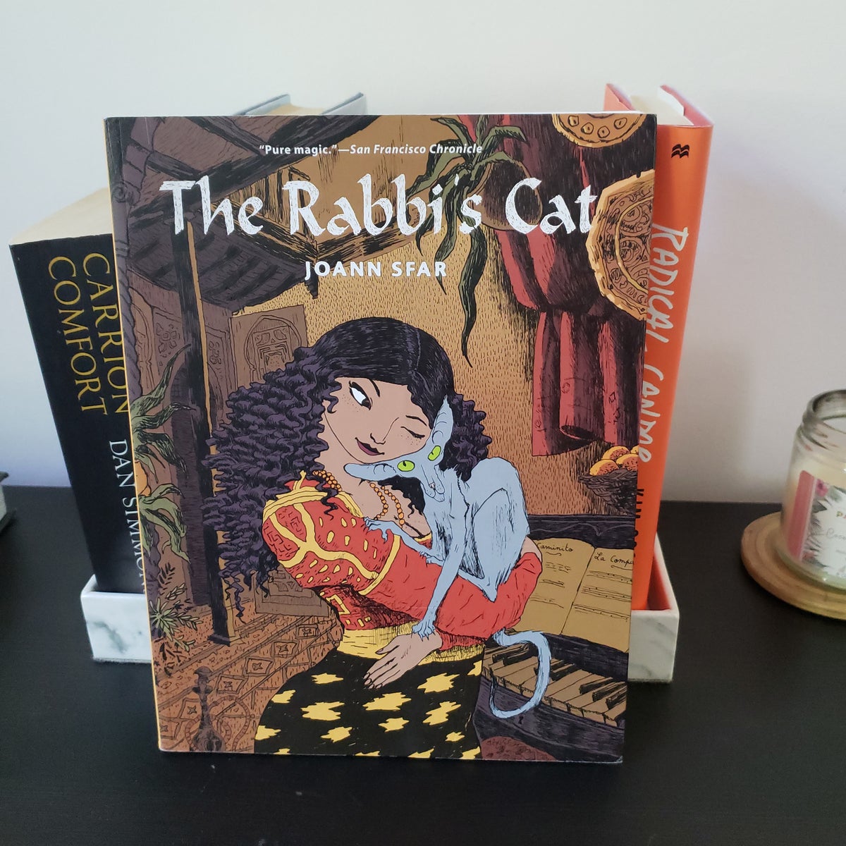 The Rabbi's Cat by Joann Sfar