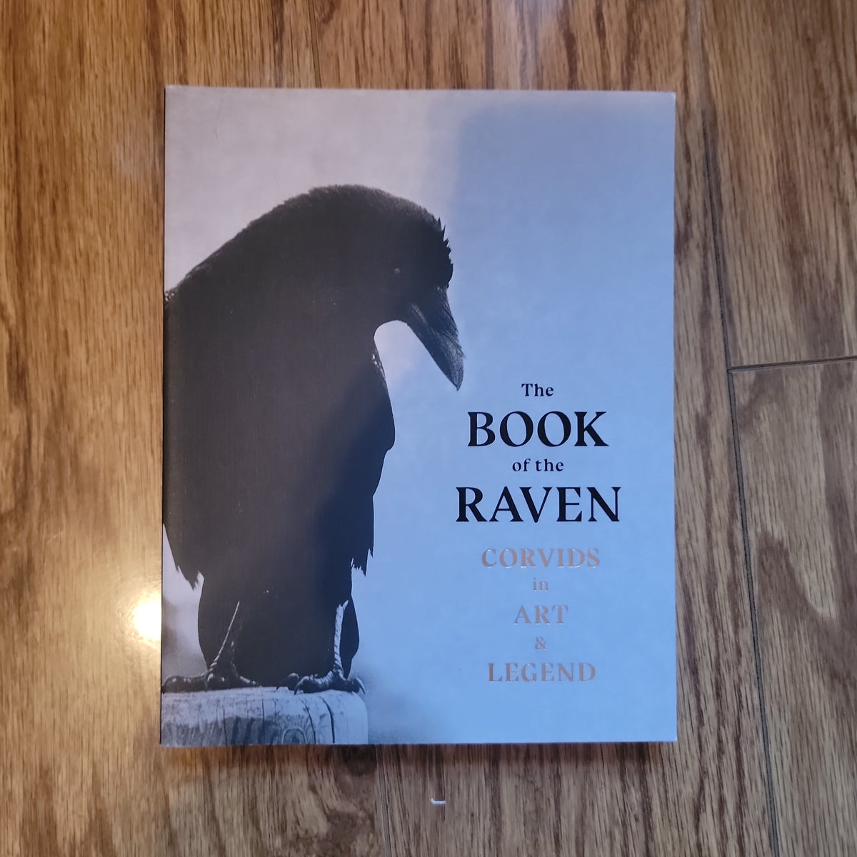 The Book of Raven by Angus Hyland, Caroline Roberts