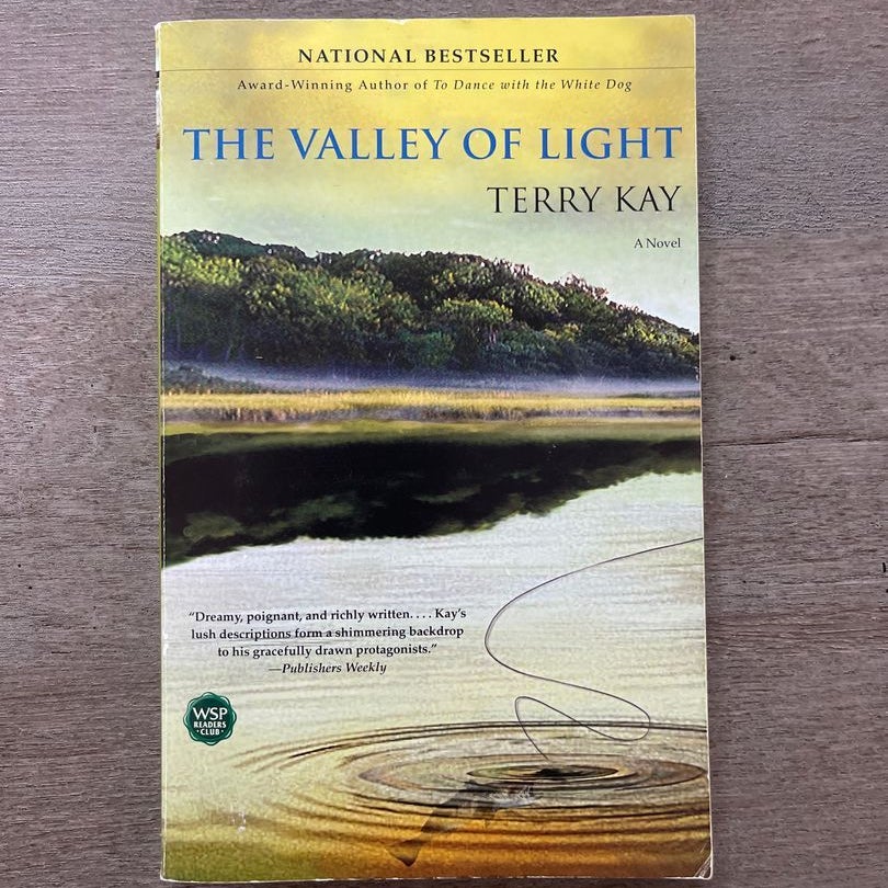 The Valley of Light by Terry Kay, Paperback | Pangobooks