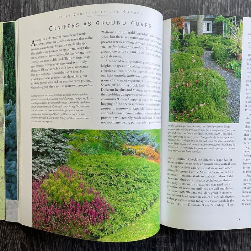 Gardening with Conifers by Adrian Bloom, Paperback | Pangobooks