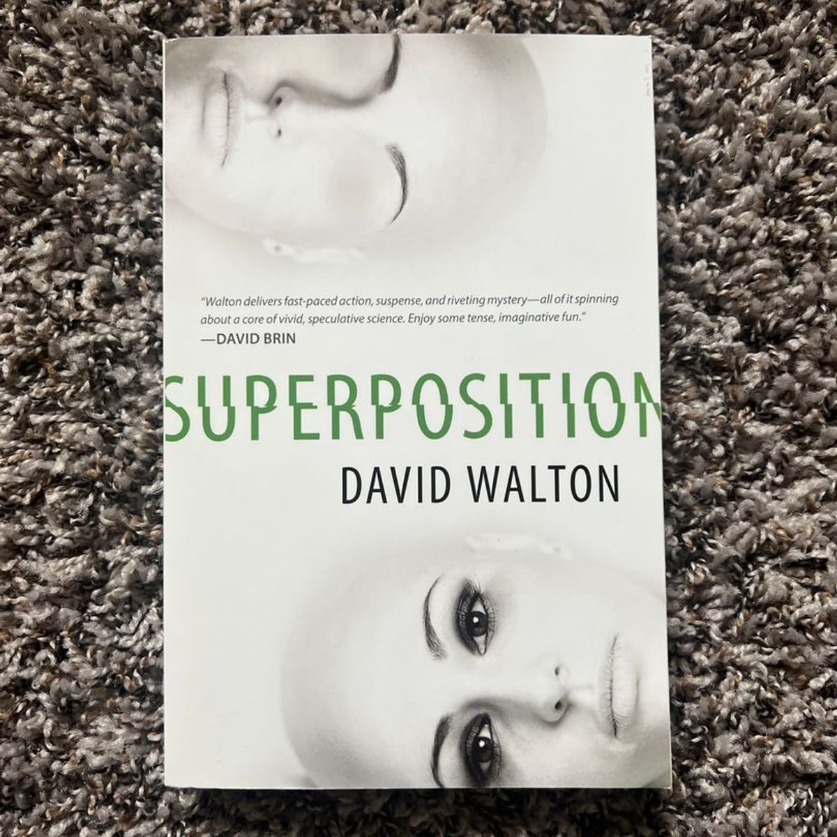 Superposition by David Walton