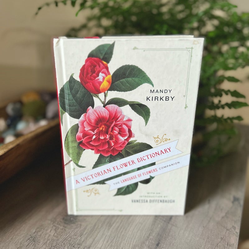 A Victorian Flower Dictionary by Mandy Kirkby, Vanessa Diffenbaugh