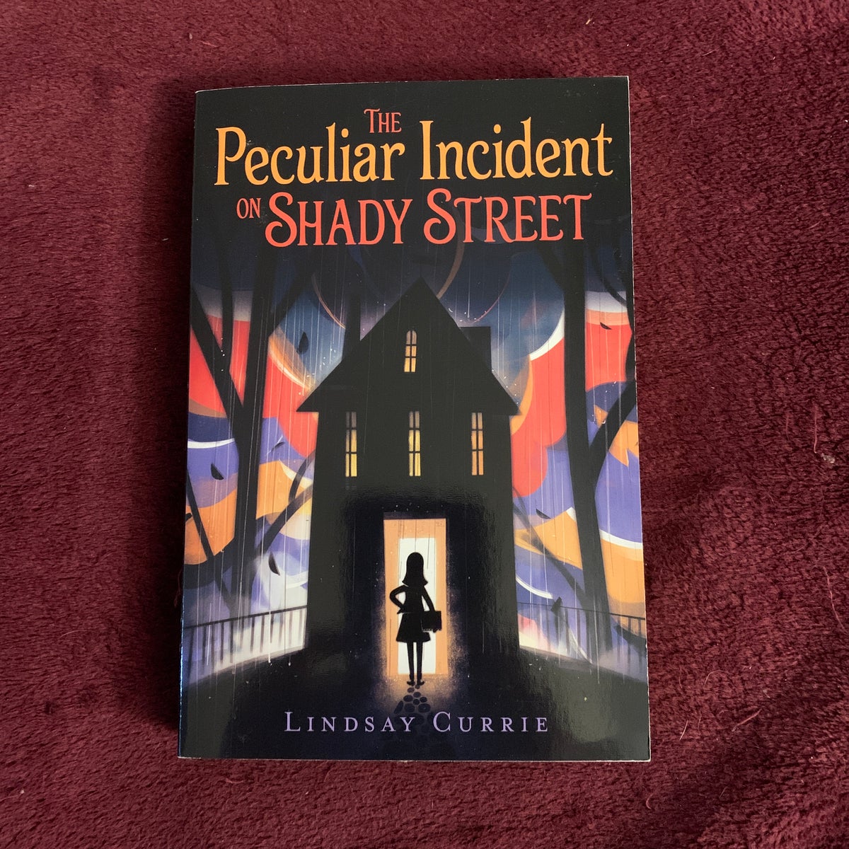 The Peculiar Incident on Shady Street