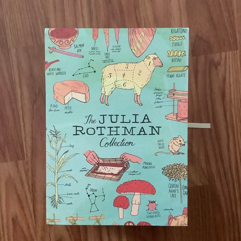 The Julia Rothman Collection