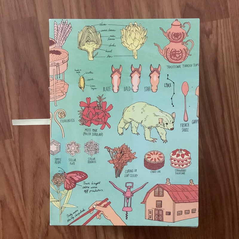 The Julia Rothman Collection