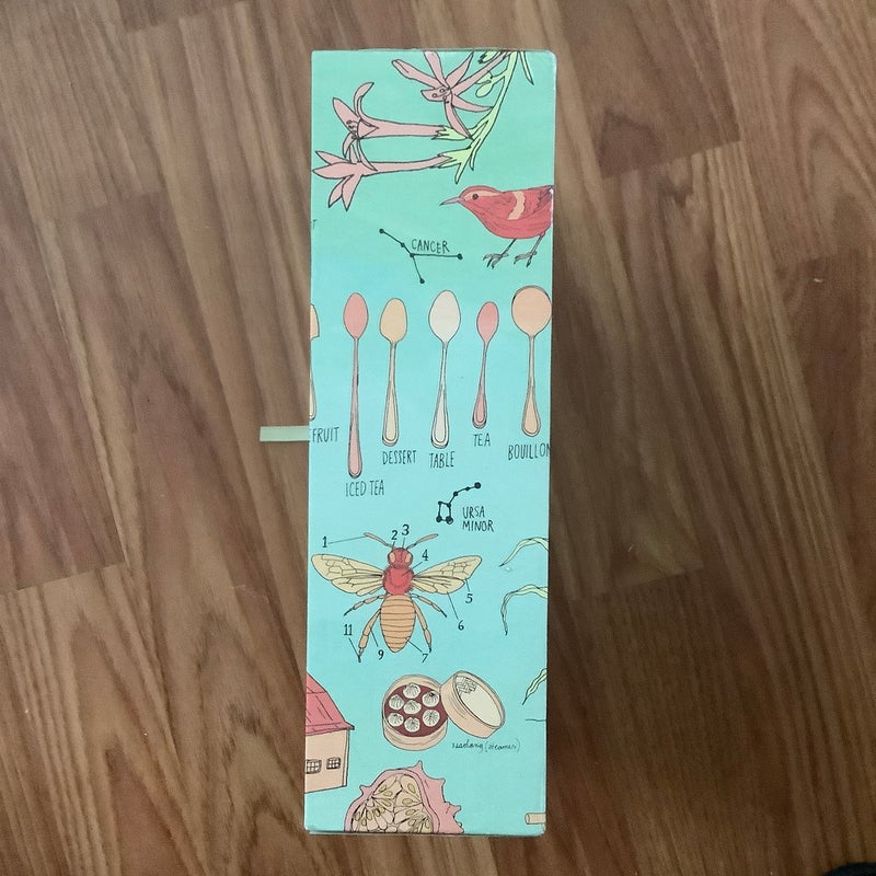 The Julia Rothman Collection