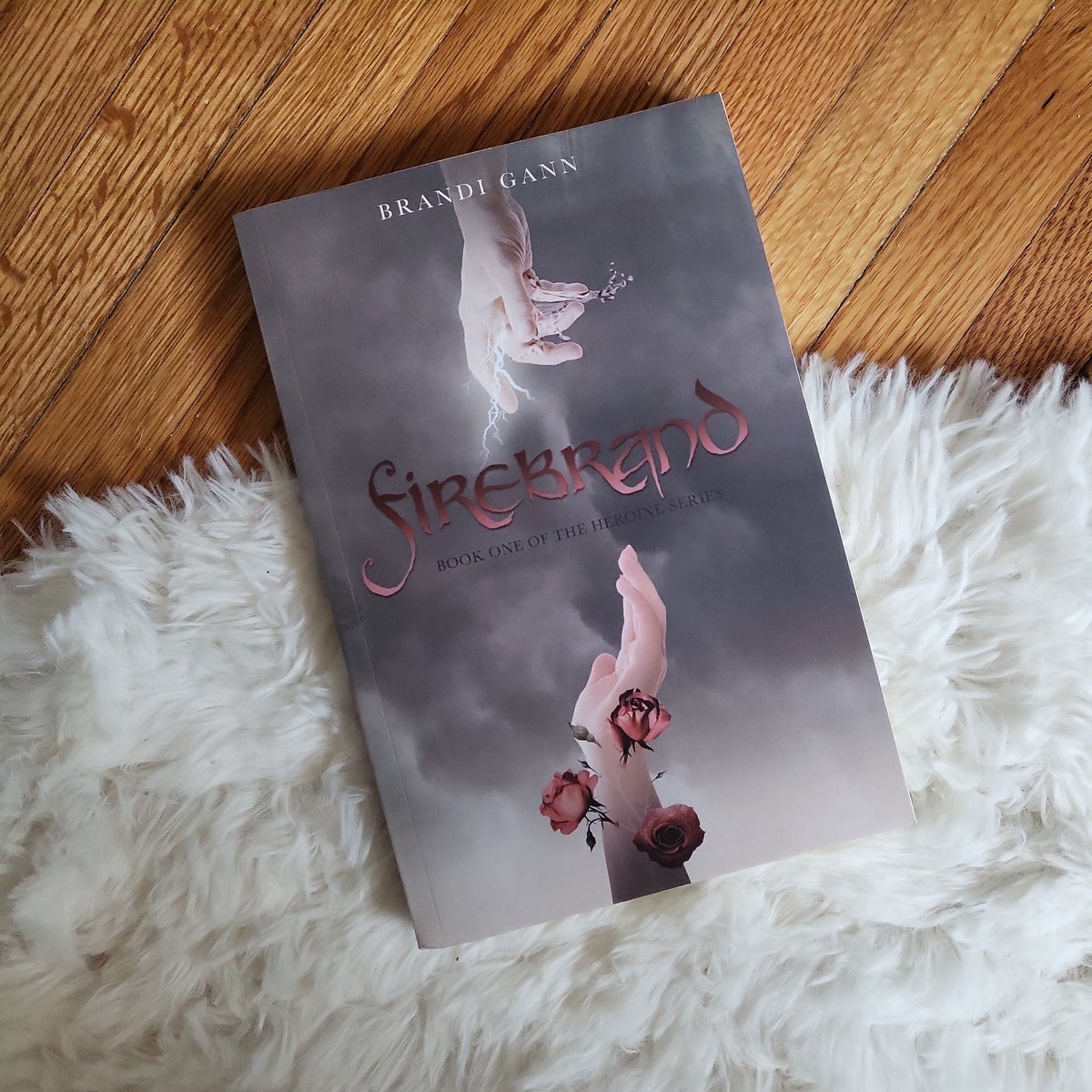 Firebrand by Brandi Gann (Illustrator), Paperback | Pangobooks