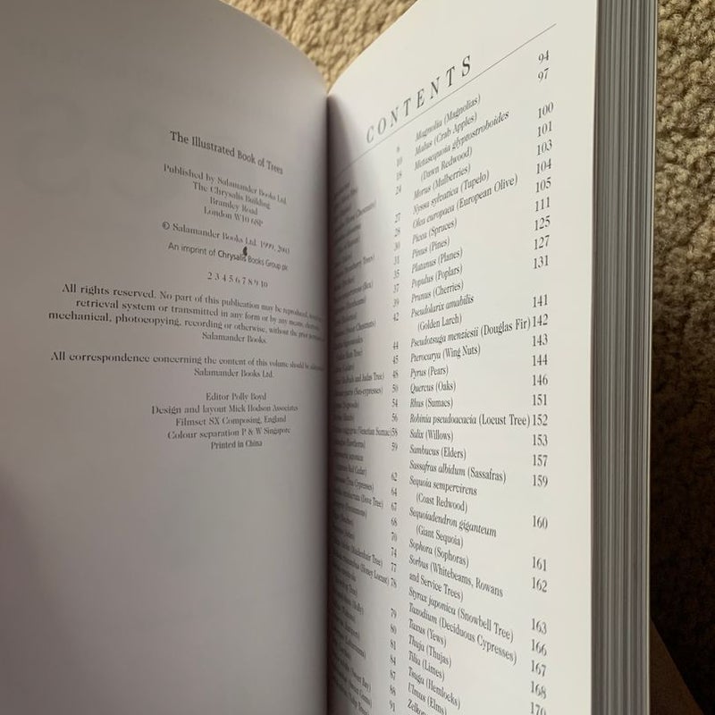 The Illustrated Book of Trees by Eric A. Bourdo