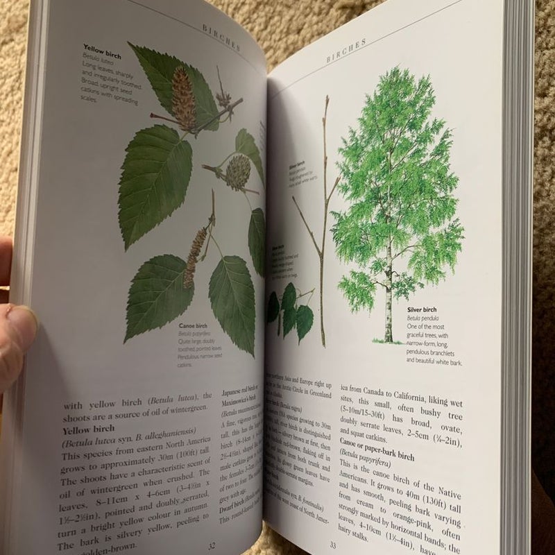 The Illustrated Book of Trees by Eric A. Bourdo
