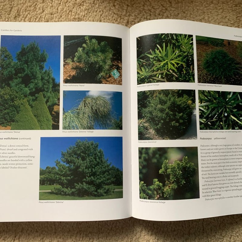 Conifers for Gardens by Richard L. Bitner
