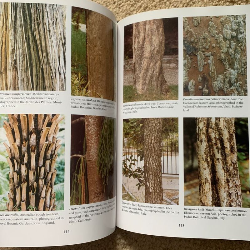 Tree Bark by Hugues Vaucher, Hardcover | Pangobooks