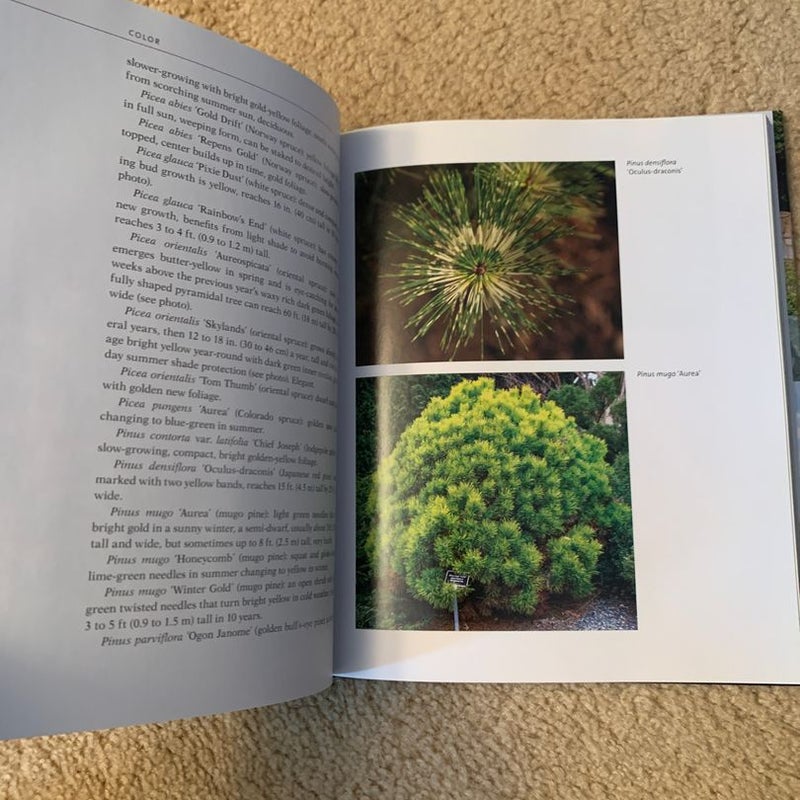 Designing with Conifers by Richard L. Bitner