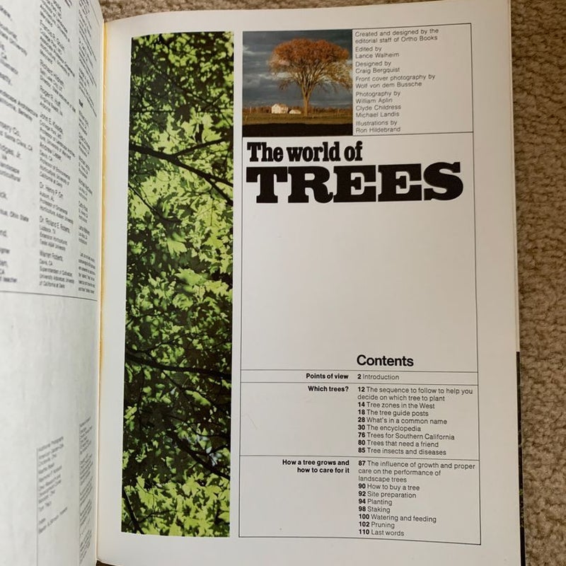 The World of Trees by Ortho Books Staff, Paperback | Pangobooks