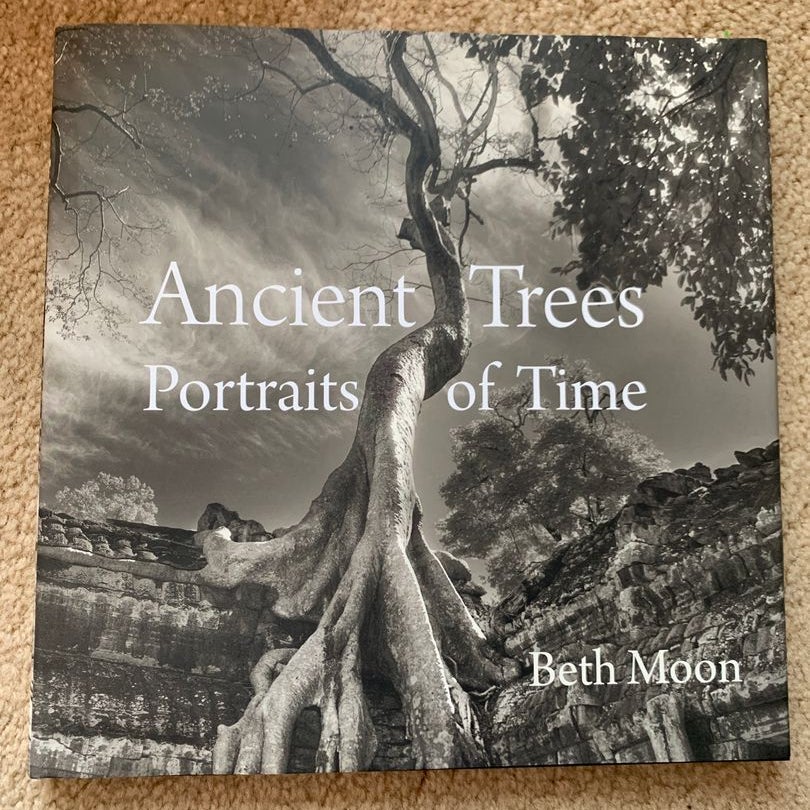 Ancient Trees by Beth Moon