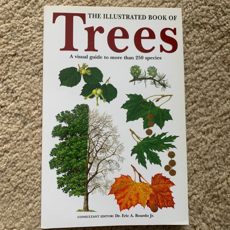 The Illustrated Book of Trees by Eric A. Bourdo