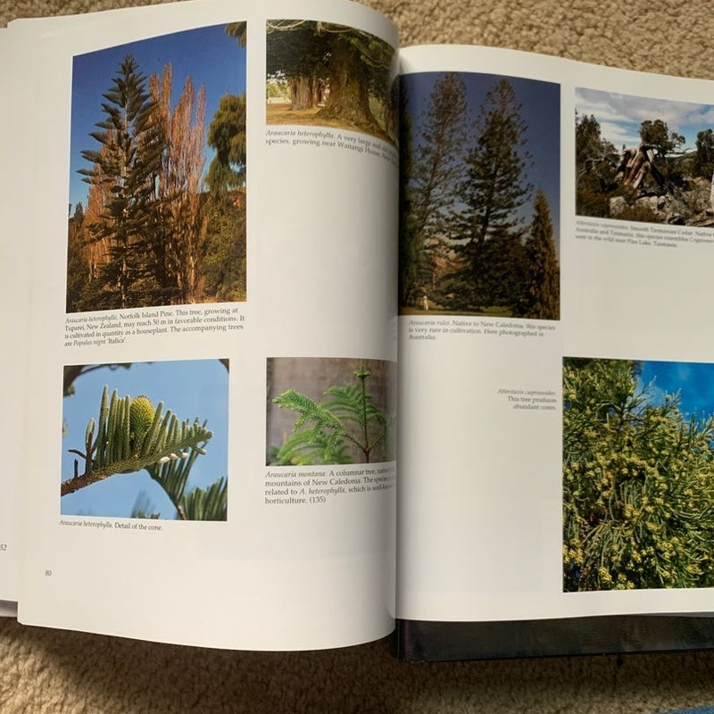 Conifers by D. M. van Gelderen, Hardcover | Pango Books