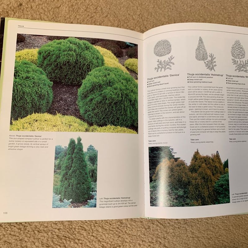 Planting Trees and Shrubs for Small Spaces by David Papworth, Hardcover ...