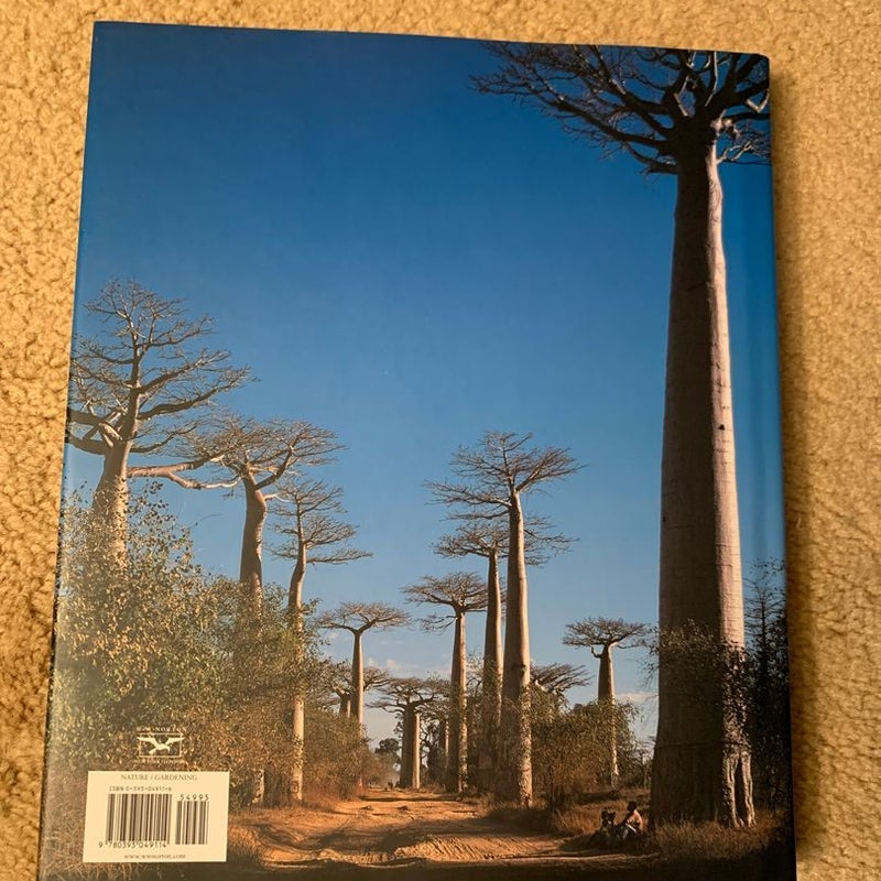 Remarkable Trees of the World by Thomas Pakenham
