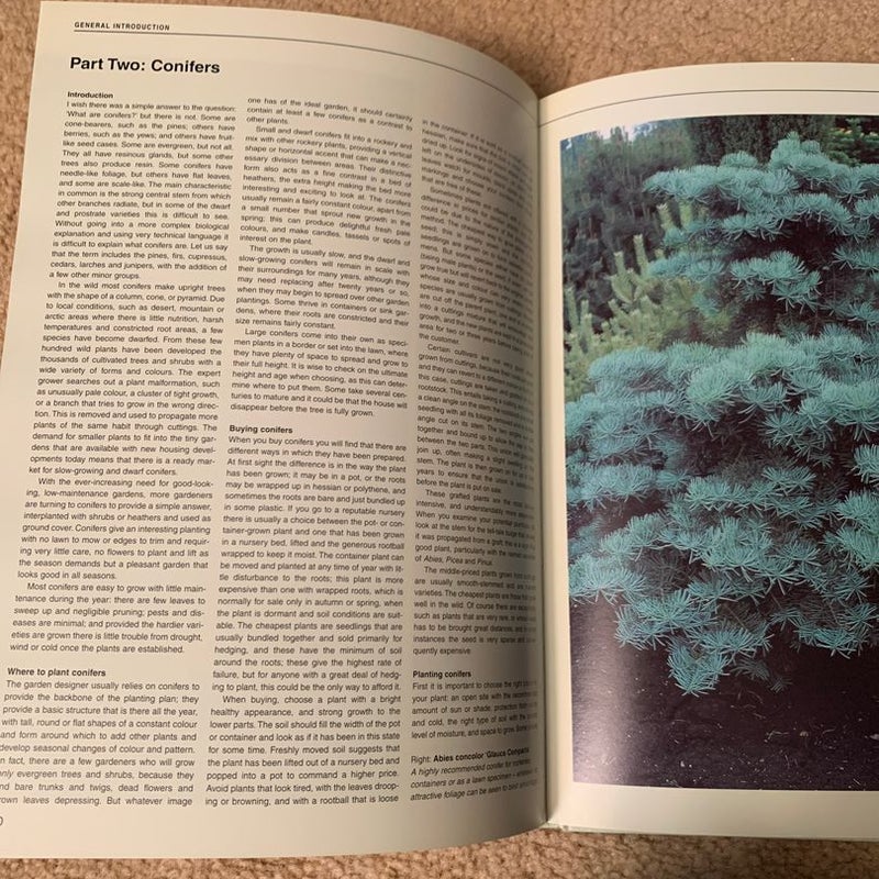 Planting Trees and Shrubs for Small Spaces by David Papworth, Hardcover ...