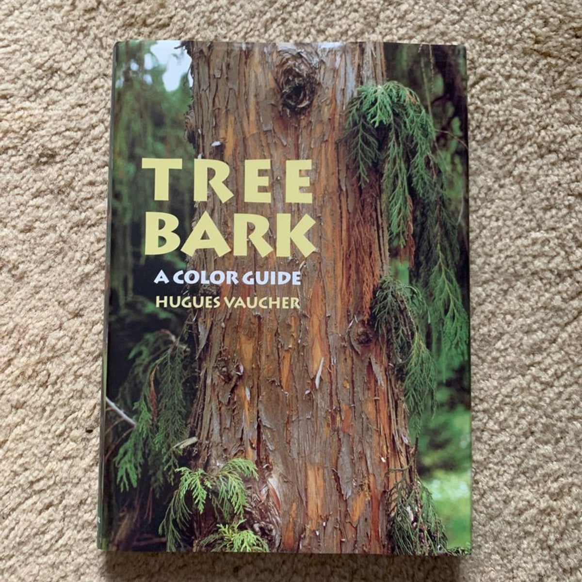 Tree Bark by Hugues Vaucher, James E. Eckenwalder