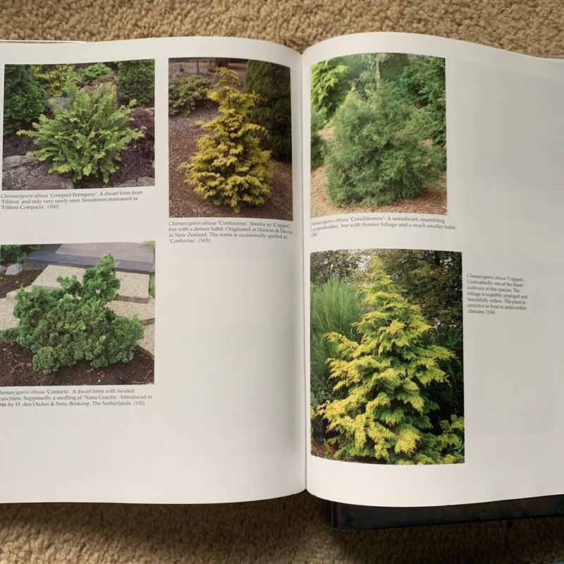 Conifers by D. M. van Gelderen, Hardcover | Pango Books