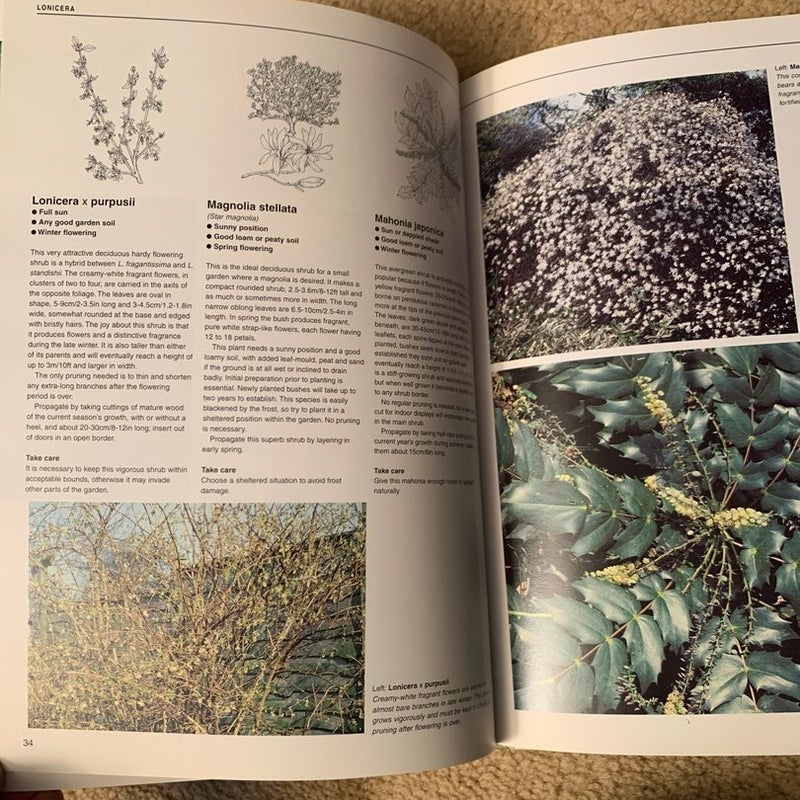 Planting Trees and Shrubs for Small Spaces by David Papworth, Hardcover ...