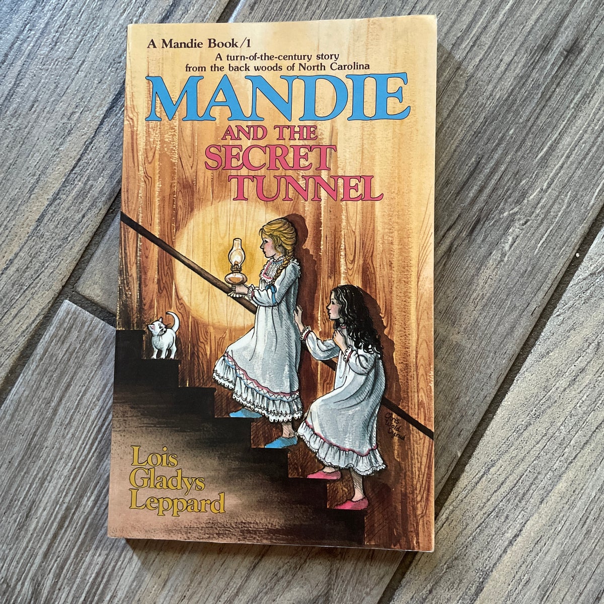 Mandie and the Secret Tunnel by Lois Gladys Leppard
