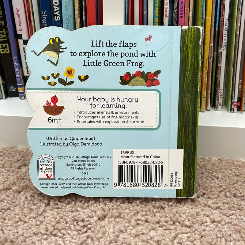 Little Green Frog by Ginger Swift