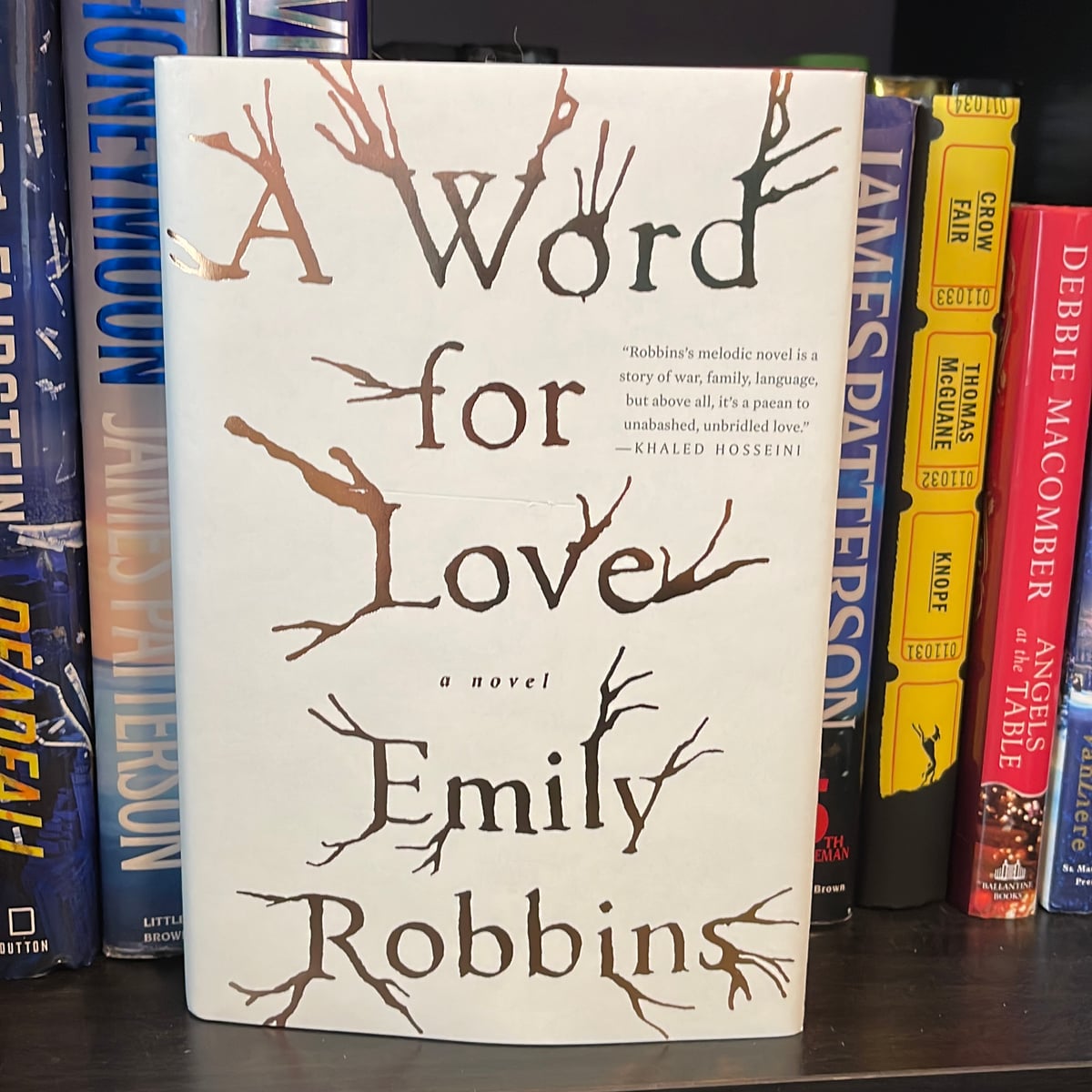 A Word for Love by Emily Robbins