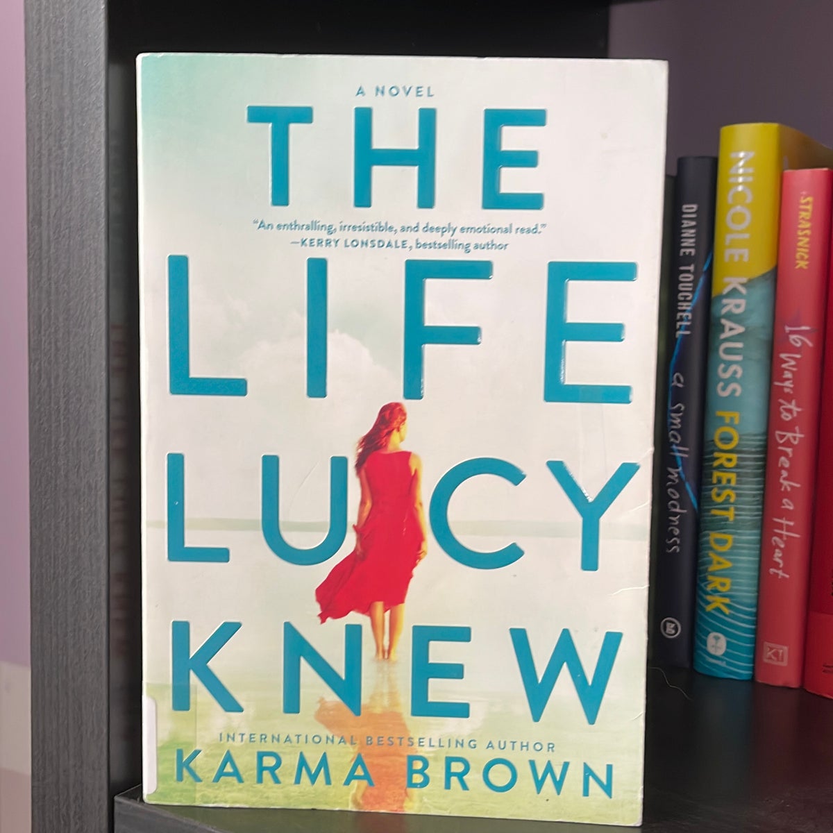 The Life Lucy Knew by Karma Brown