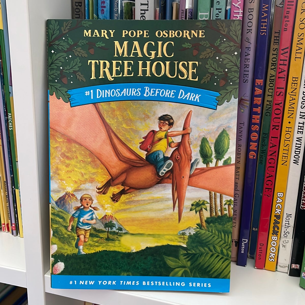 Dinosaurs Before Dark