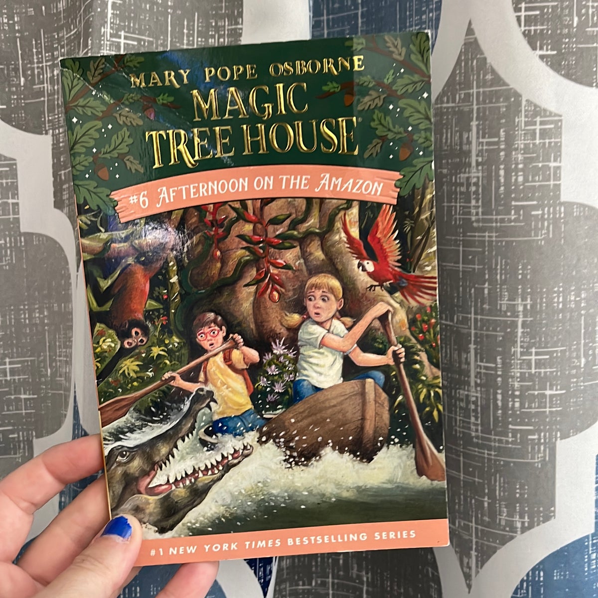 Afternoon on the Amazon by Mary Pope Osborne