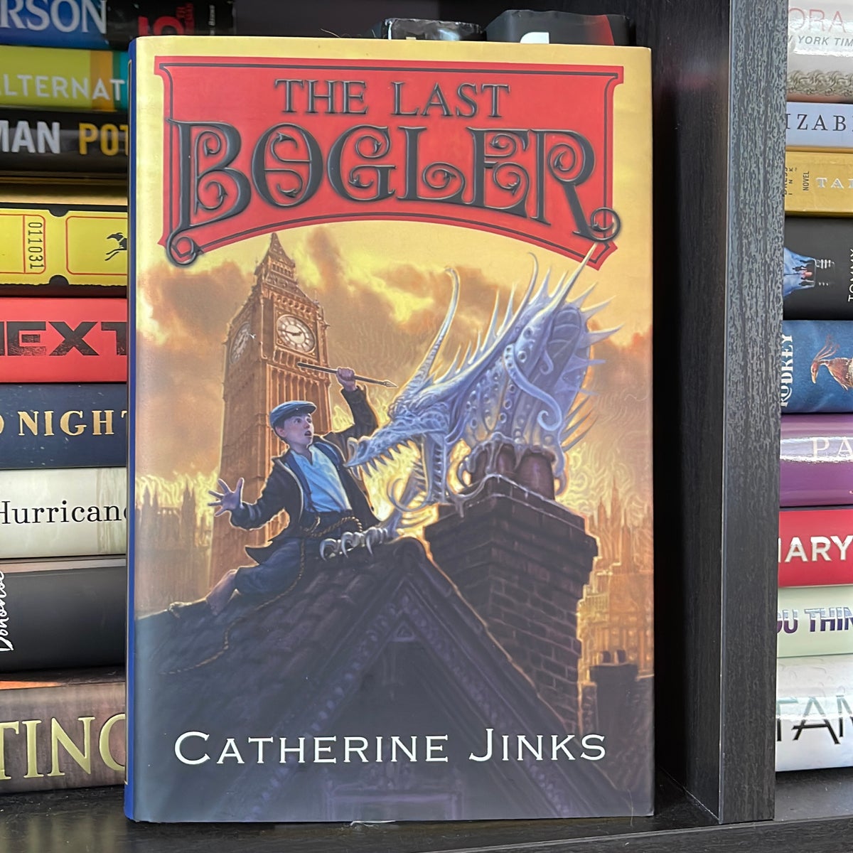 The Last Bogler by Catherine Jinks