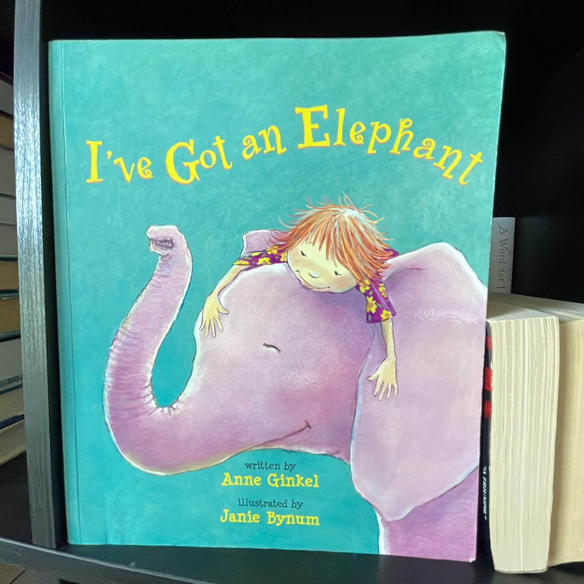 I've Got an Elephant by Anne Ginkel