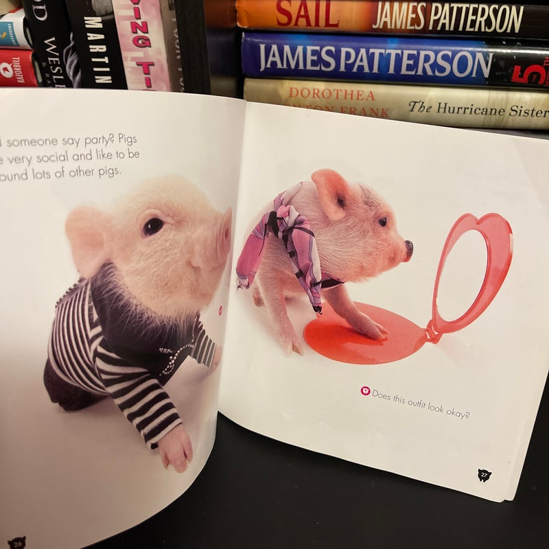 Pigalicious by Scholastic, Paperback | Pangobooks