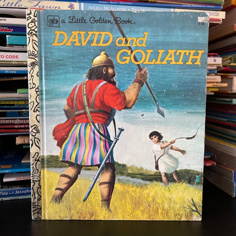 David and Goliath by Barbara Shook Hazen, Hardcover | Pangobooks