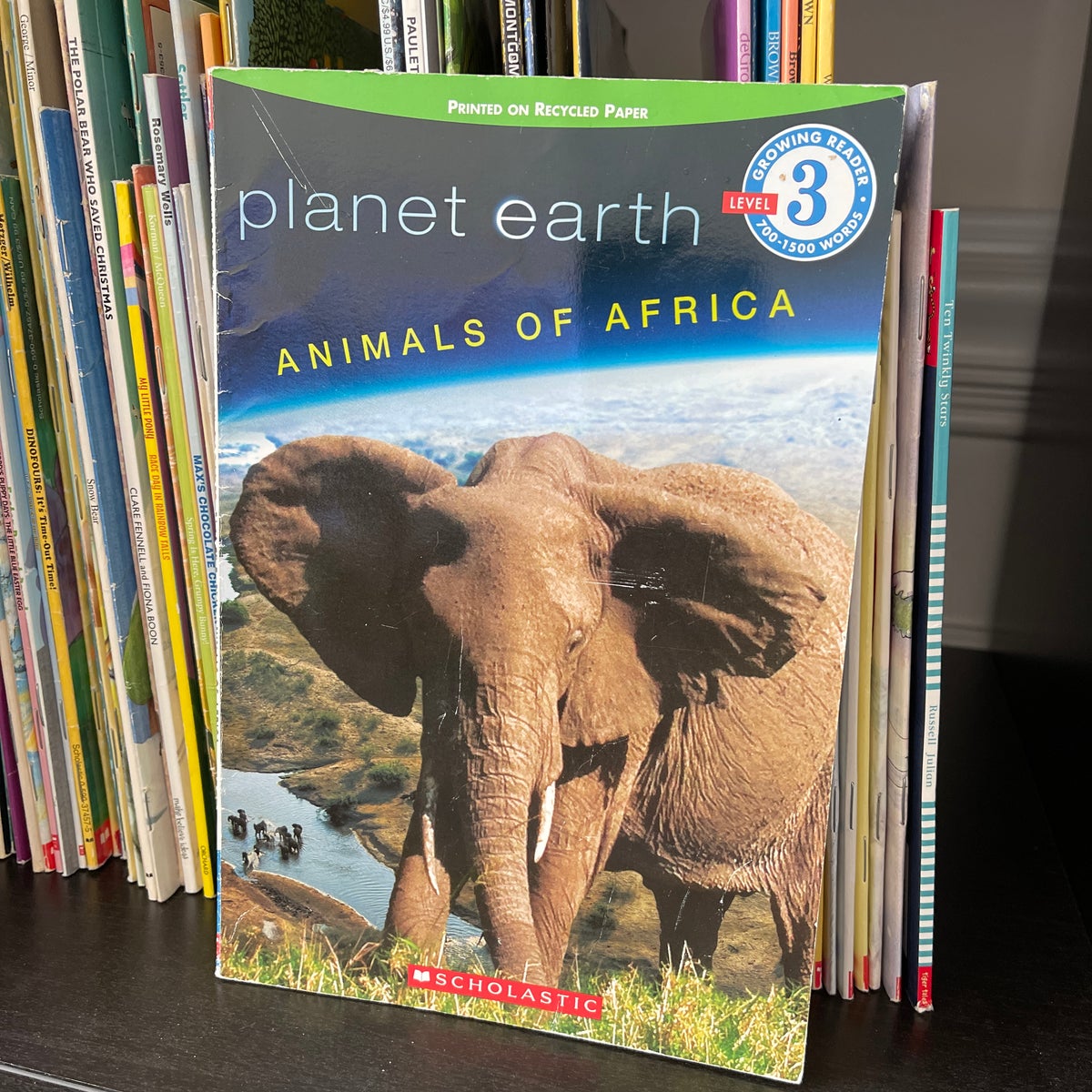 Animals of Africa, Level 3 by Lisa L. Ryan-Herndon