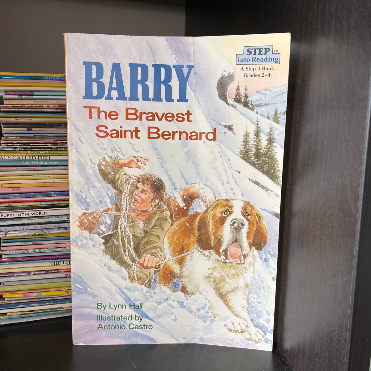 Barry the Bravest St Bernard by Lynn Hall