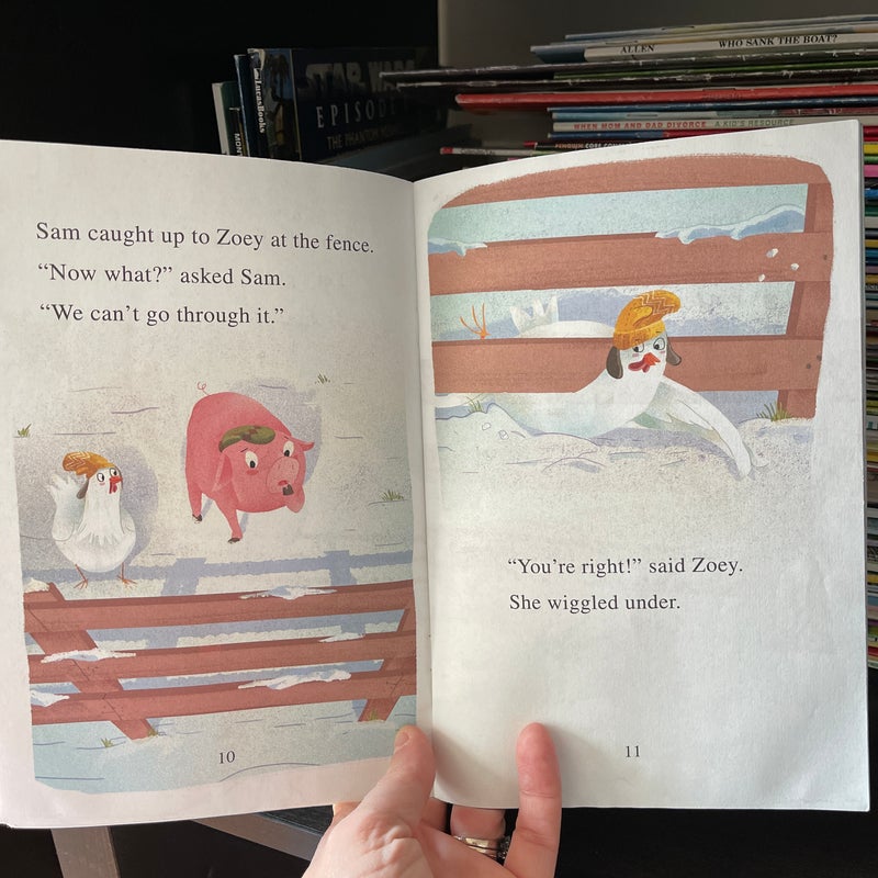 Chicken in Mittens by Adam Lehrhaupt, Paperback | Pangobooks