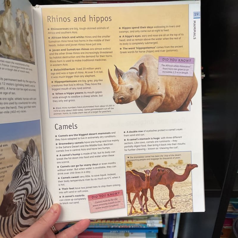 The Ultimate Guide - Animal by Bedoyere Camilla, L. A. de Lisle